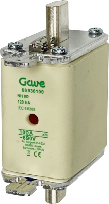 GAVE NH MOTOR FUSE WITH INDICATOR 100A aM 690VAC NH00 (Sz00 ...